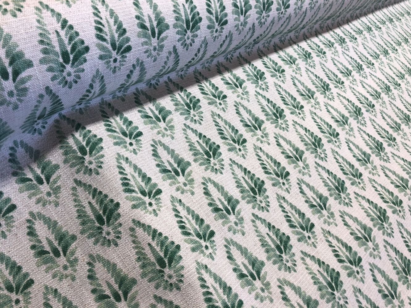 Agave Verde