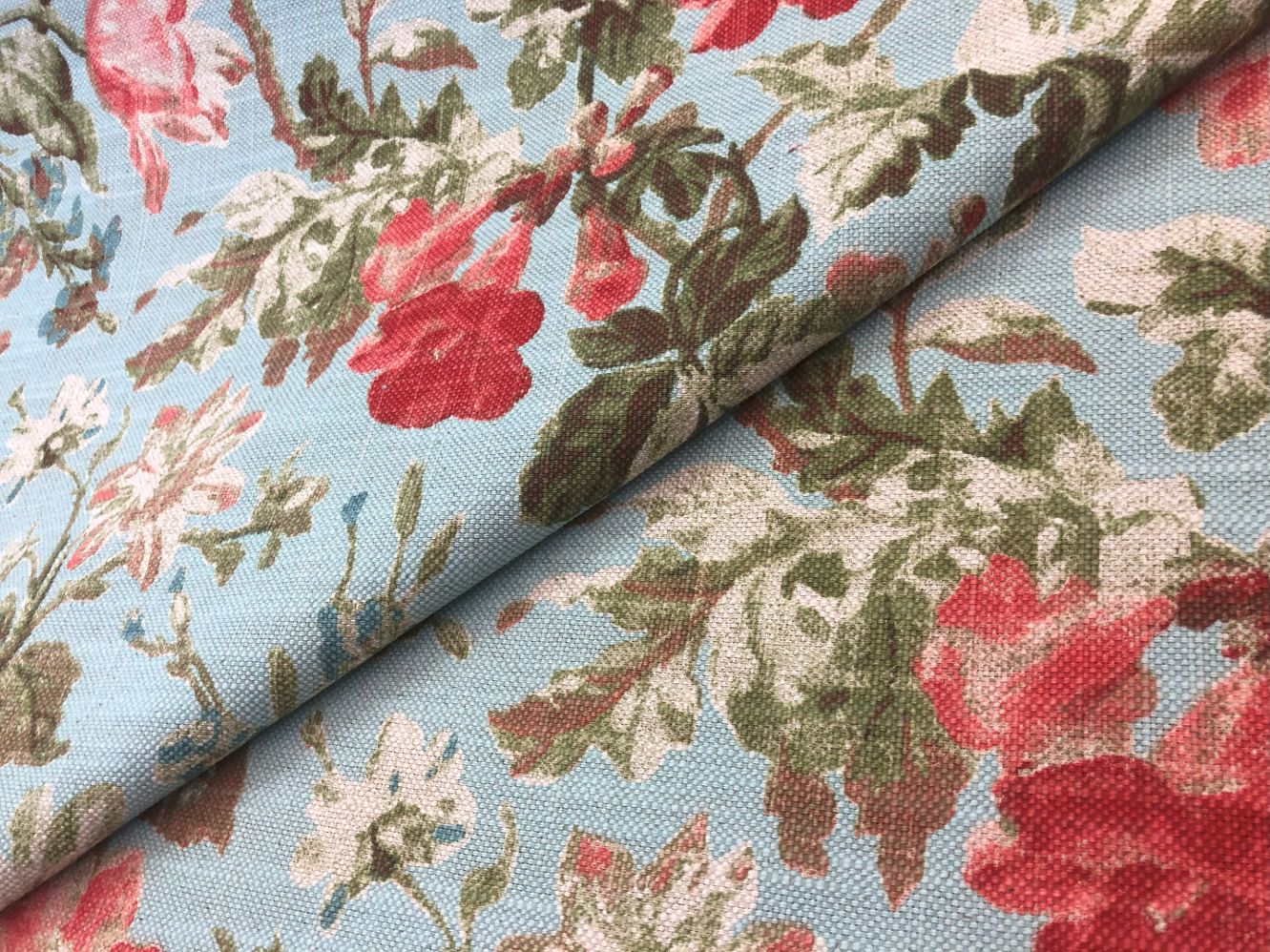 Cosima in Robins Egg