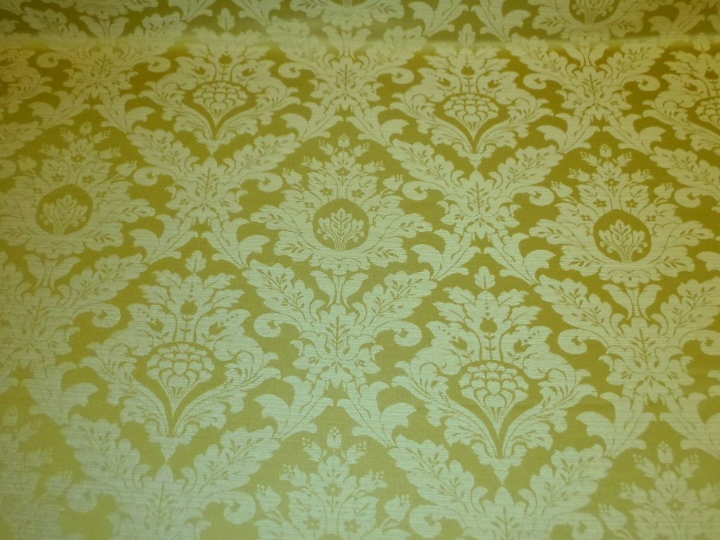 Jameson Color Kiwi Fruit