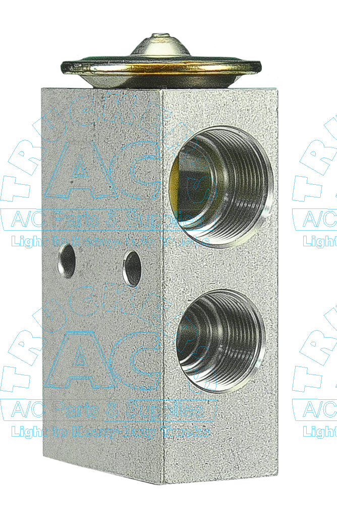 A/C Block Type Expansion Valve Freightliner Mack 2 ton