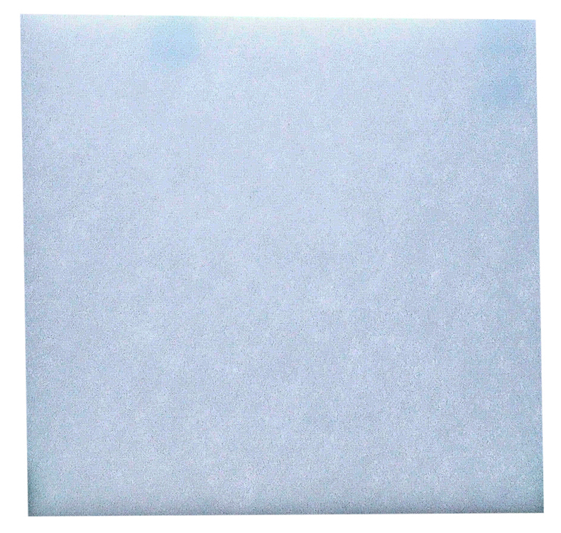 MACK Cabin Air Filter OEM# 7787-525784