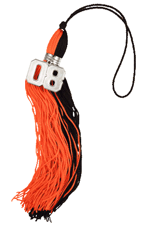 Jumbo Signet Tassel for Graduation "Thick Mega Tassel"
