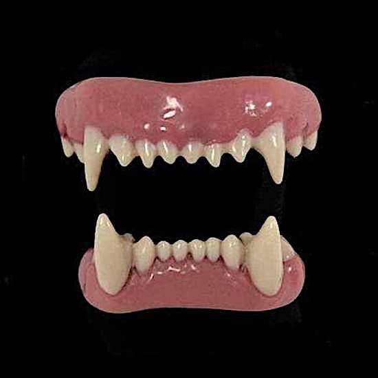 Tooth Veneers - Animal Teeth - Full Set - PROSTHETIC TEETH FAKE FANGS ...