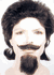 Buffalo Bill Beard and Wig Set - Glue On - FAKE BEARDS MUSTACHES BEARD ...