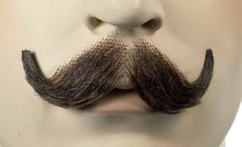Small English - Fake Mustache - Glue On - FAKE BEARDS MUSTACHES BEARD ...