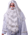 Beard and Wig Set - Wizard Style - Elastic Band - FAKE BEARDS MUSTACHES ...