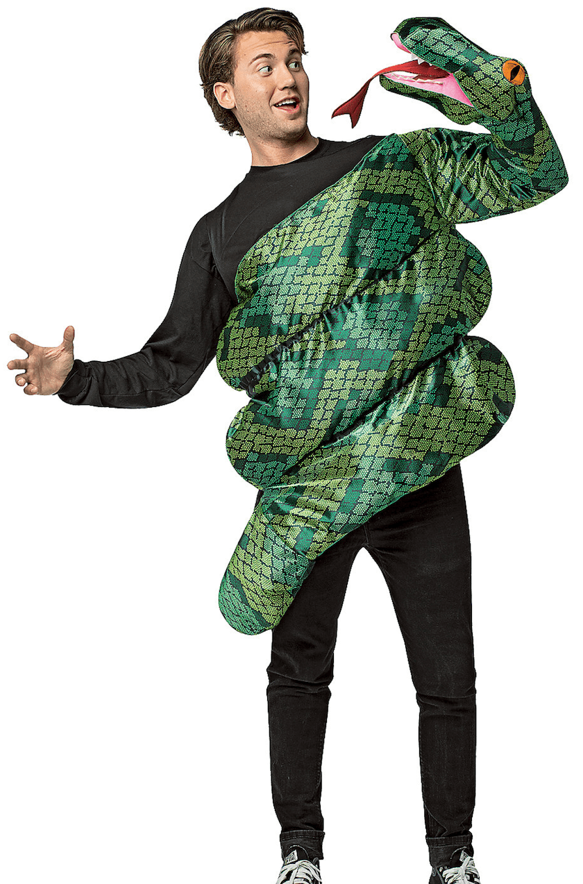 Anaconda Snake Costume - ANIMAL RELATED COSTUMES ACCESSORIES MASCOTS