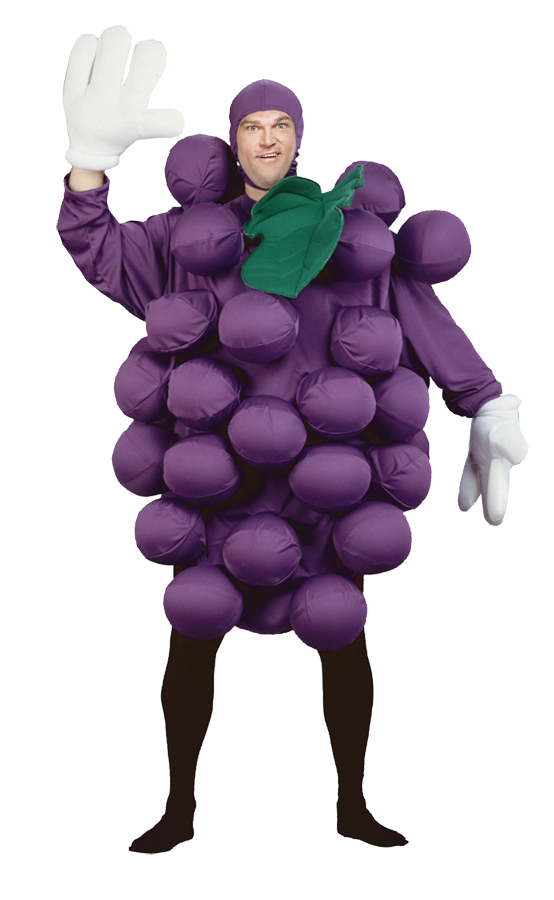 Sexy Grape Costume