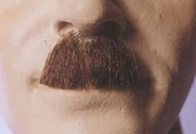 The Chaplin / Hitler Style Mustache - Glue On - FAKE BEARDS MUSTACHES ...