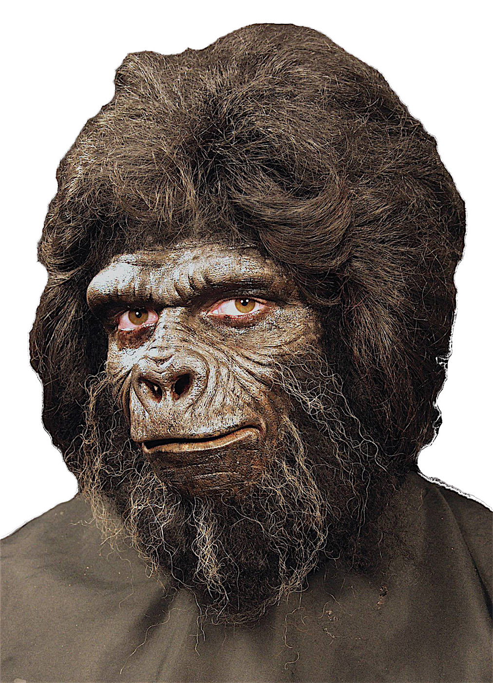 Monkey Prosthetic Makeup | Saubhaya Makeup