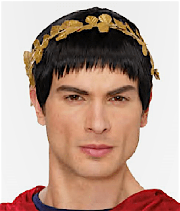 Men's Costume Wig - Classic Greek or Roman Wig - THEATRICAL WIGS MEN'S ...