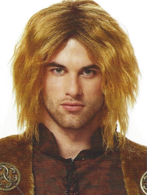 Man's Costume Wig - Medieval King Wig - THEATRICAL WIGS MEN'S COSTUME ...