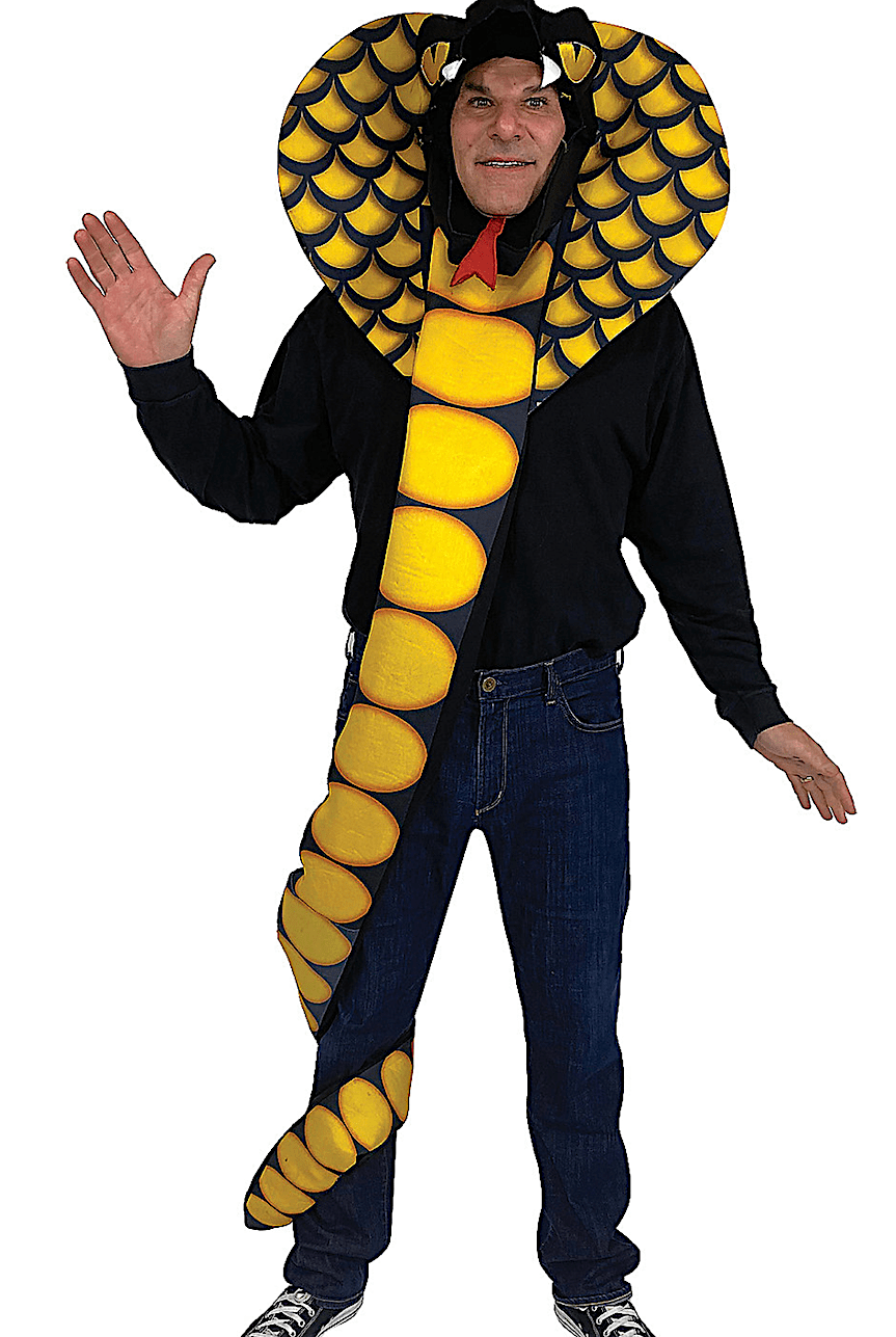 Cobra Costume - ANIMAL RELATED COSTUMES ACCESSORIES MASCOTS