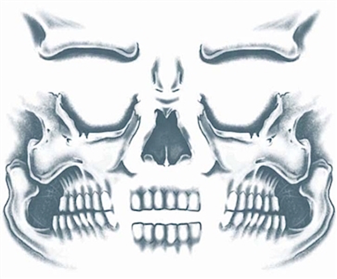 Removable Tattoo - Full Face Tattoo - Skeleton Face Tattoo - TEMPORARY ...
