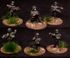 15mm Earth Force Home Guard Command
