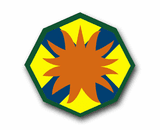 Army 81st Regional Support Command Patch Decal