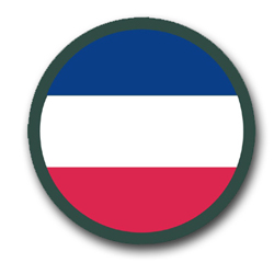 Army Forces Command Patch Vinyl Transfer Decal