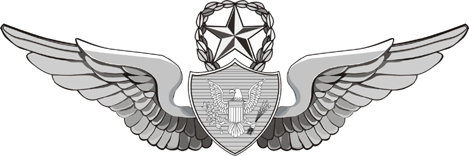 Army Master Crewman Wings Vinyl Transfer Decal