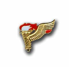 Army Pathfinder Wing Military Pin