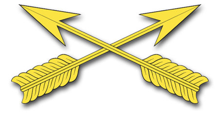 Special Forces Insignia