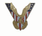 Eagle-Flag-Victory Lapel Pin