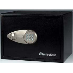 Sentry Safe X125 Security Safe