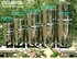 Berkey Filter Size Comparison