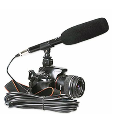 Canon EOS R100 Stereo Microphone