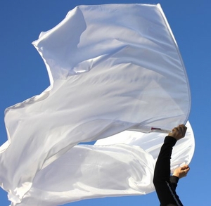 Beauty for Ashes Boutique Warrior Worship Flags