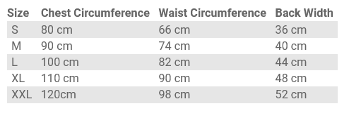 Cirilla Leather Armour Bodice