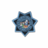 Blue Ribbon - CDCR Star Patch