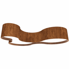 Accord Lighting 5111LED Organic Contemporary LED Home Ceiling Lighting ...