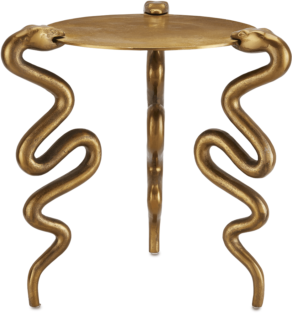 Currey & Company 4000-0140 Serpent Contemporary Antique Brass Accent ...