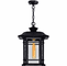 CWI Lighting 0411P9-1-101 Blackburn Traditional Black Exterior Hanging ...