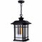 CWI Lighting 0411P9-1-101 Blackburn Traditional Black Exterior Hanging ...