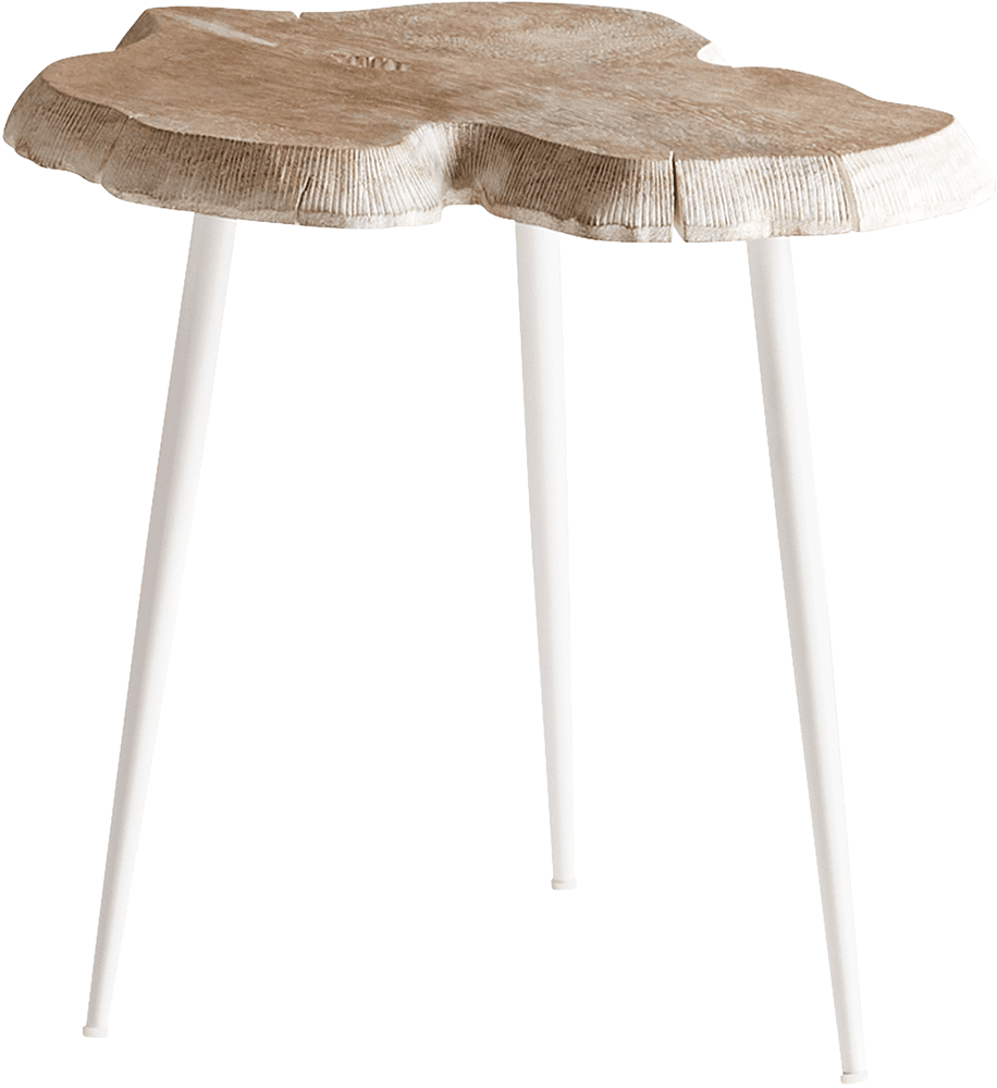 Cyan Design 11341 Palmer Modern Whitewash Side Table - CYN-11341