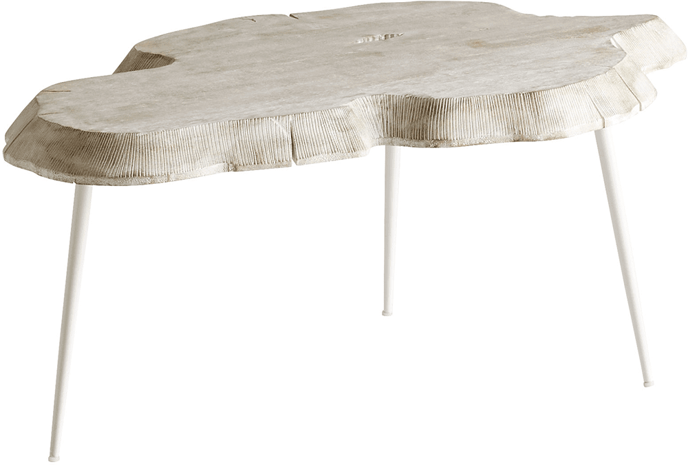 Cyan Design 11342 Palmer Modern Whitewash Coffee Table - CYN-11342