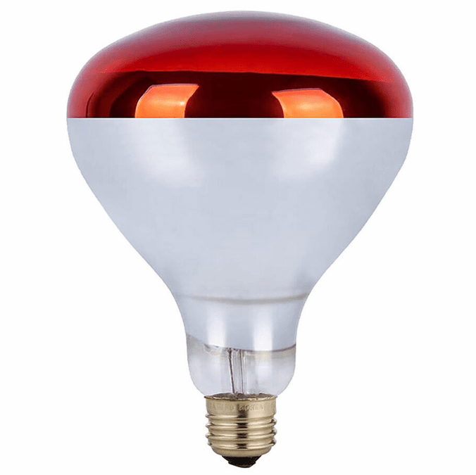 Cyber Tech IB250R40RDHL/2PK Contemporary RED Heat Lamp Bulb (Pack of 2 ...