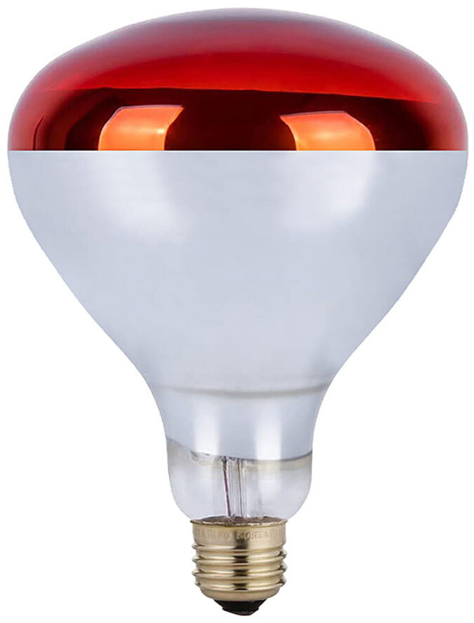 Cyber Tech IB250R40RDHL Contemporary RED Heat Lamp Light Bulb - CYB ...