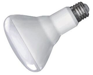 Cyber Tech LB75R30-D Watt LED R30 Dimmable Reflector Bulb - CYB-LB75R30-D