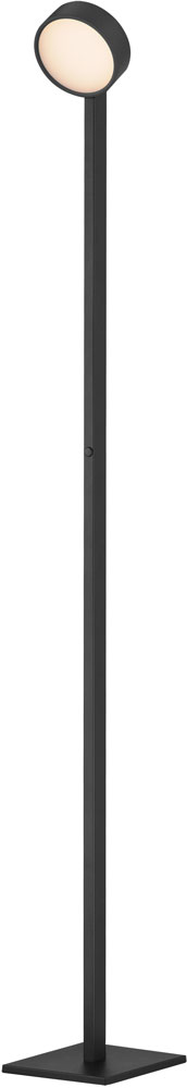 ET2 E30529-BK Embrace Modern Black LED Floor Lamp - ET-E30529-BK