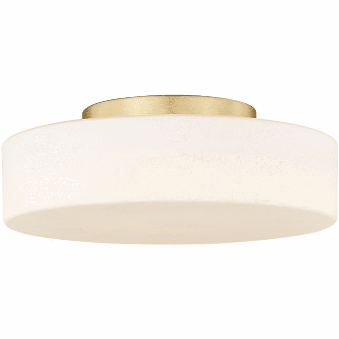 Golden Lighting 3136-FM BCB-OP Toli Contemporary Brushed Champagne ...