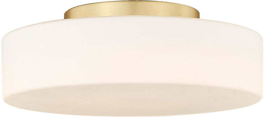 Golden Lighting 3136-FM BCB-OP Toli Contemporary Brushed Champagne ...