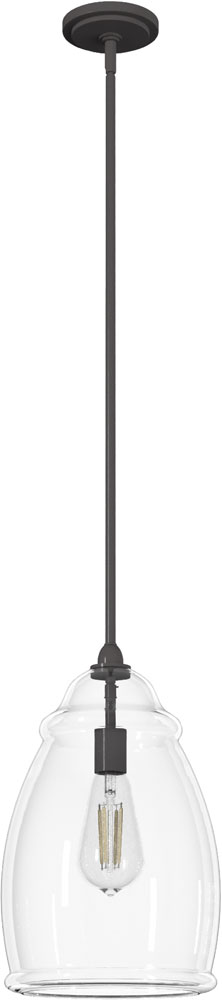 Hunter Lighting 19650 Dunshire Modern Mini Ceiling Light Pendant - HNL ...