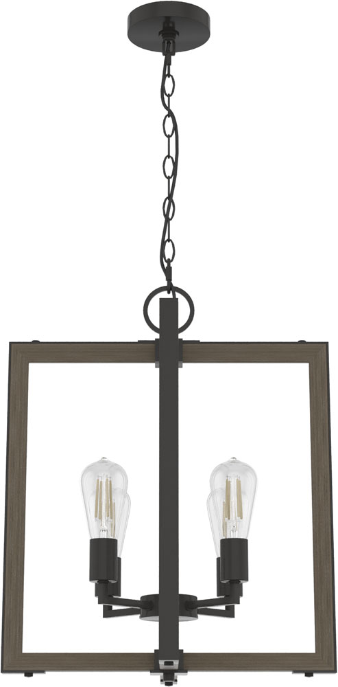 Hunter Lighting 19806 Woodburn Modern 18.5" Drop Ceiling Lighting - HNL ...