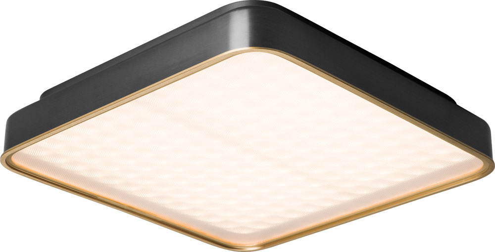 PageOne PC111082-SDG Pan Modern Satin Dark-Gray LED 16" Ceiling ...