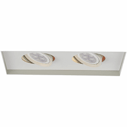 WAC Recessed Lighting