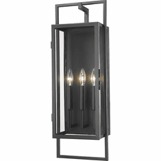 Z-Lite 598M-BK Lucian Modern Black Outdoor 8" Sconce Lighting - ZLT-598M-BK