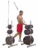 Body Solid Olympic Plate Tree and Bar Rack
