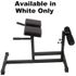 Benches|Hyper Extension Roman Chair Bench - adjustable